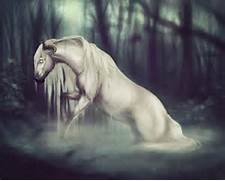 Fantastic and Legendary Creatures | Tangled Magic