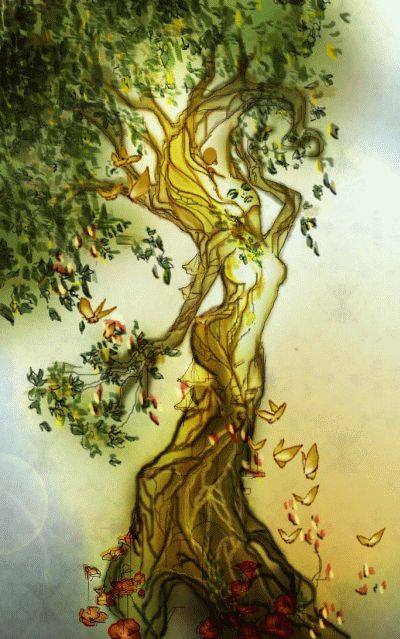 Dryads | Tangled Magic