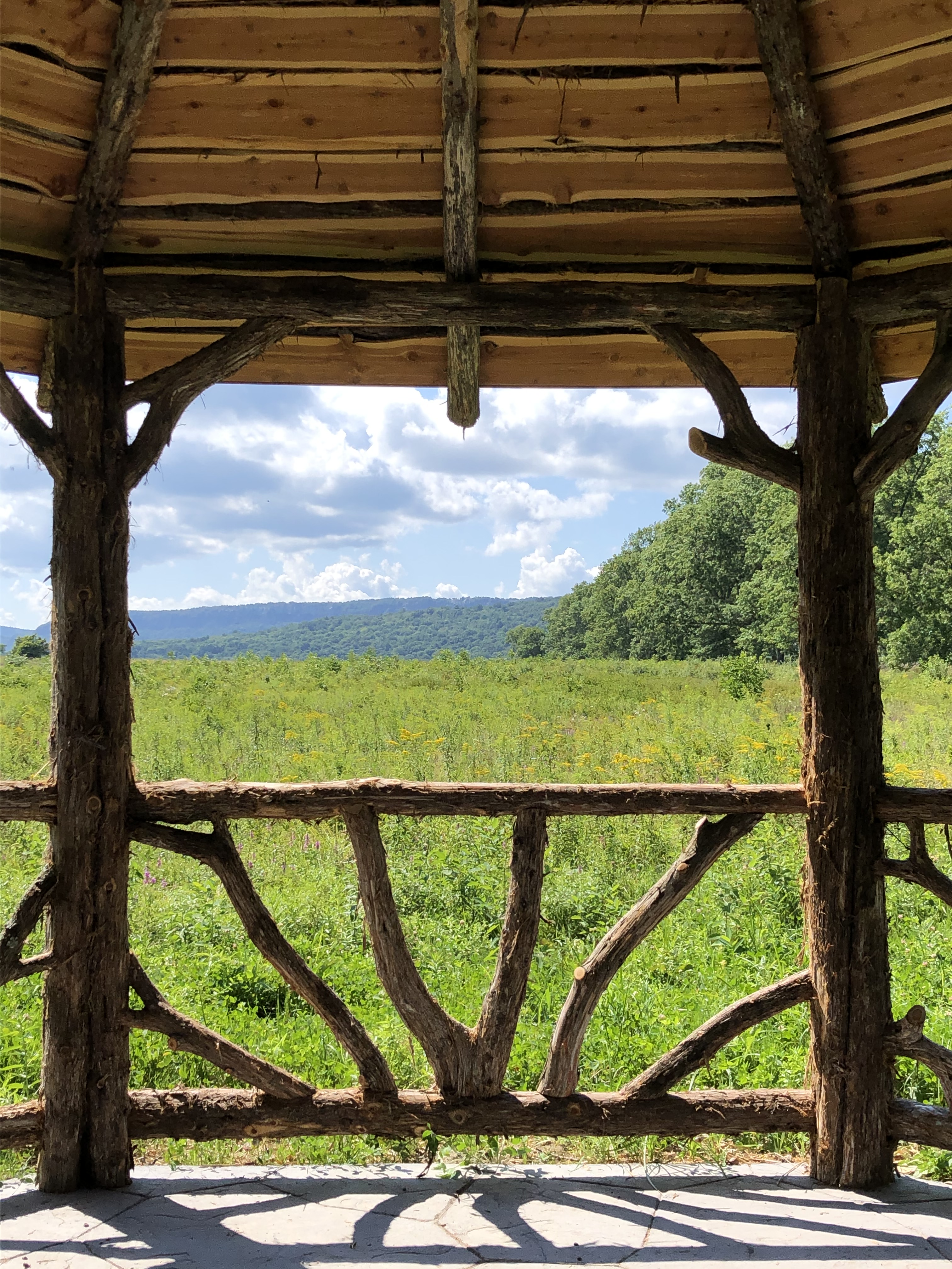 Alive in the Foothills | Tangled Magic